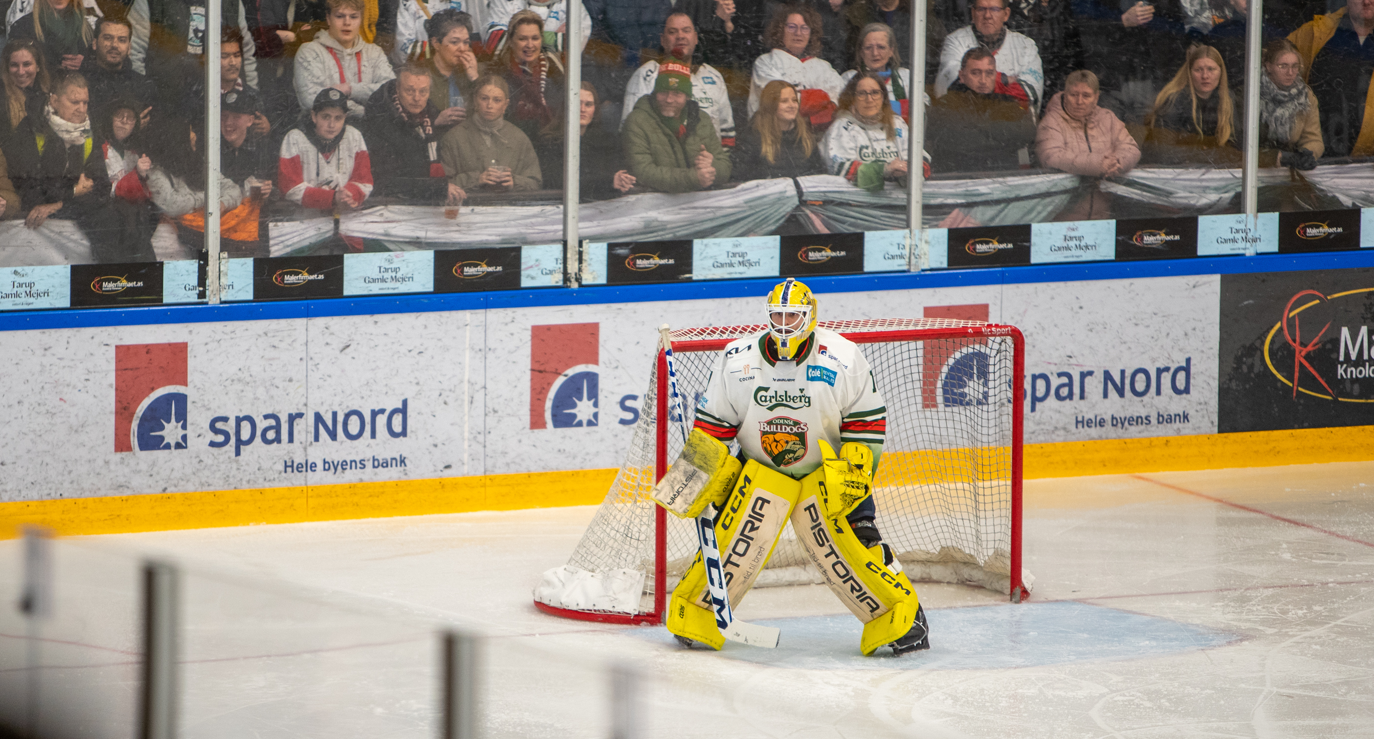 Odense Bulldogs - Forlængelse en realitet: Bergvik bliver i Bulldogs